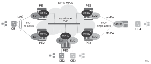 5. Ethernet Virtual Private Networks (EVPNs)
