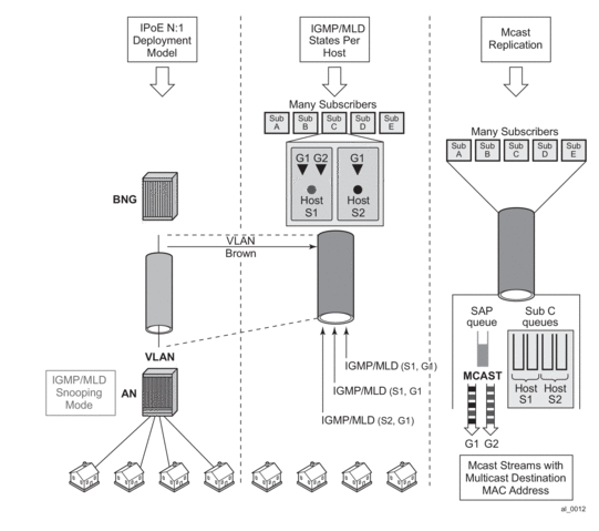 8. Triple Play Multicast