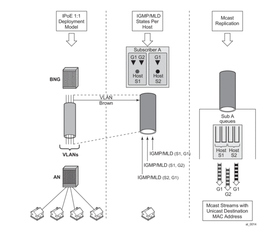 8. Triple Play Multicast
