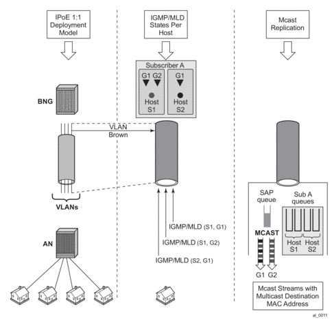 8. Triple Play Multicast